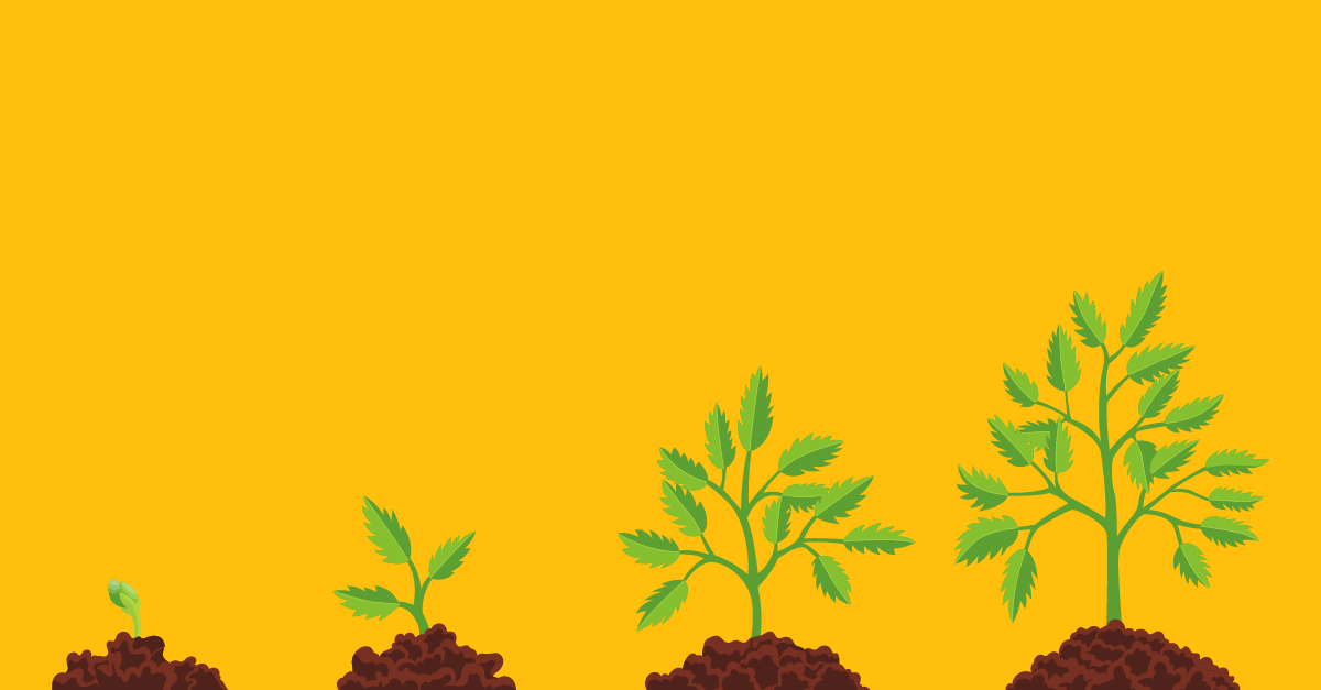 The Schön Reflection Model: In Action and On Action